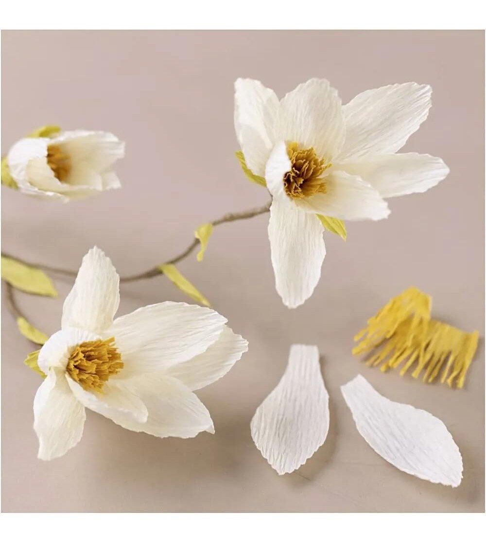 Mini kit creativ cu hartie creponata - magnolii - Seturi cu hârtie și ...
